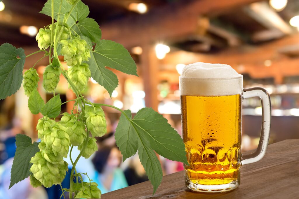 Best 22 Breweries in Kansas City MO: A Guide to the Top Craft Beer ...