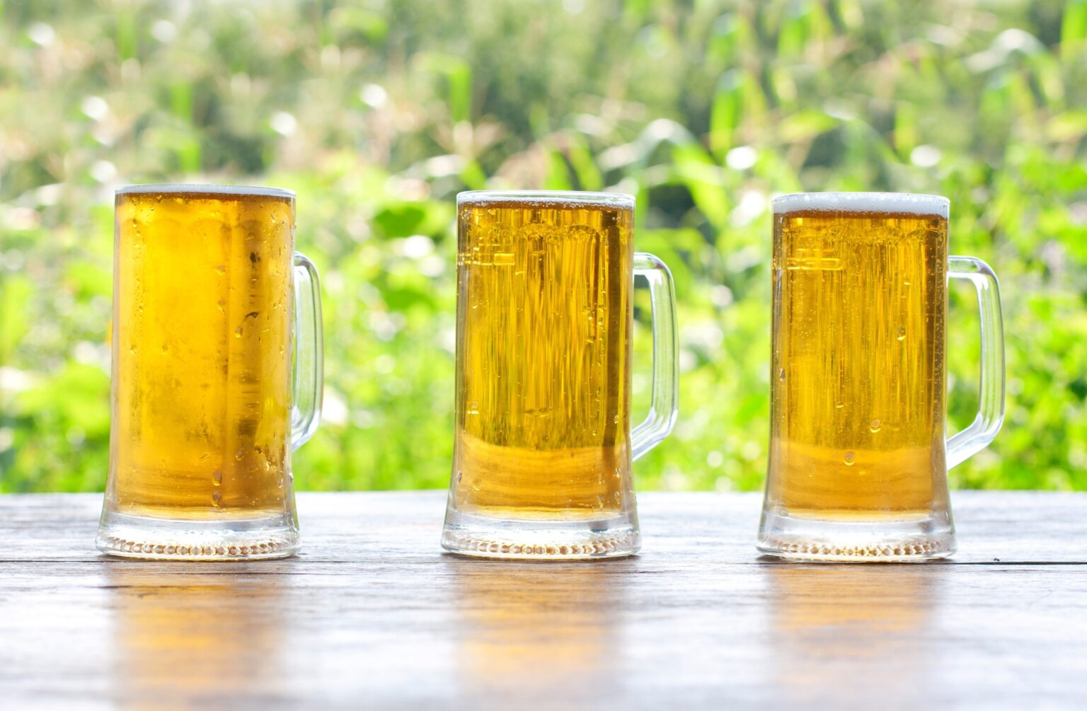 Best 15 Breweries in St. Louis MO: A Comprehensive Guide - SeekABrew