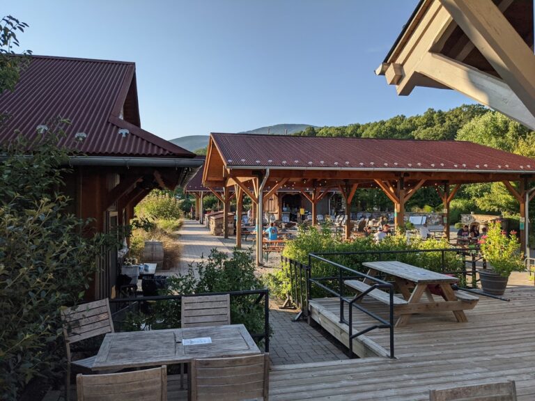 Best 14 Breweries in Virginia: Top Places to Enjoy Craft Beer - SeekABrew